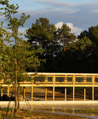 The Village at Hendrix | Map of The Village at Hendrix